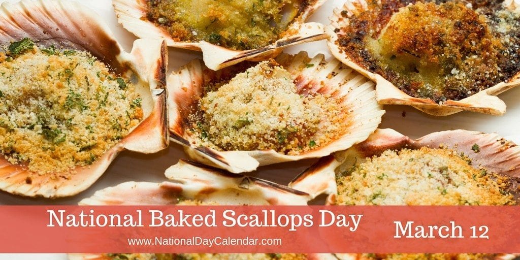 The Bay Scallop Is The Official State Shell Of New York - South Florida ...
