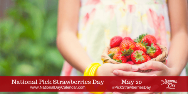 The Fear Of Strawberries Is "Fragariaphobia" - South Florida Reporter