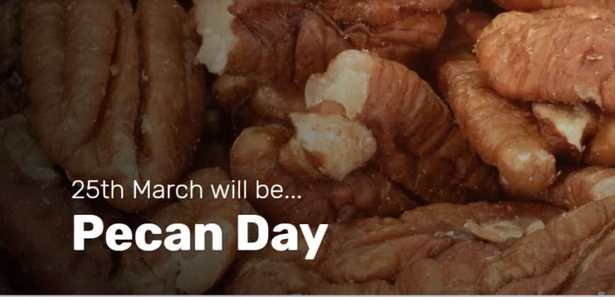 “Pecan” Is A Native American Word Used To Describe Nuts Requiring A ...