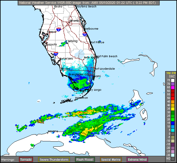 AMX_loop - South Florida Reporter