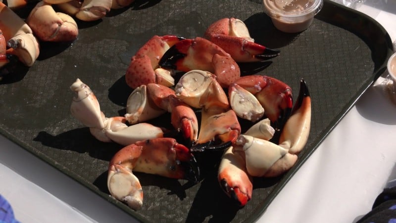 Watch As A Stone Crab Eating Contest Record Is Set - South Florida Reporter