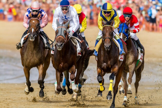 Best Florida Thoroughbred Racing Tracks - South Florida Reporter