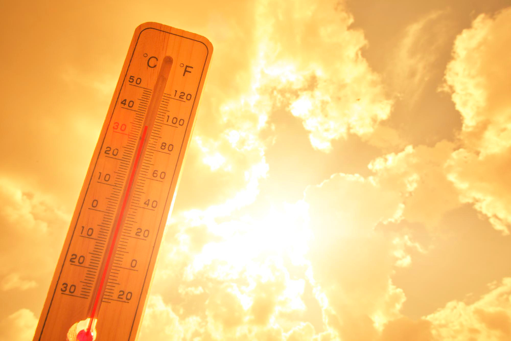 Mostly Sunny and Hot - South Florida Reporter