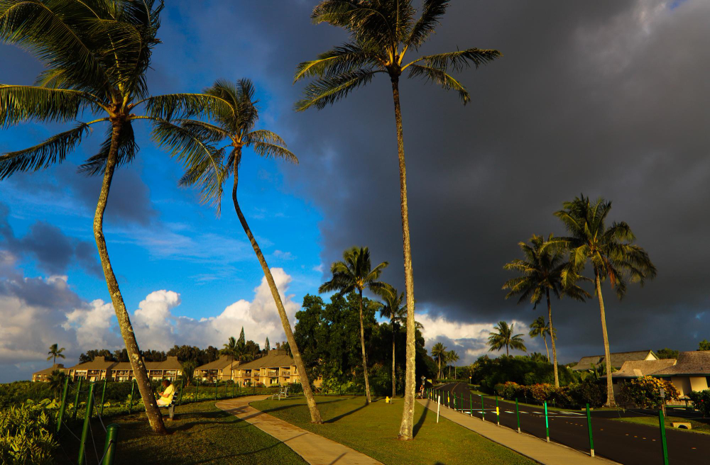 Sunday Showers and Storms - South Florida Reporter