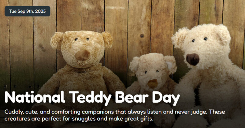 "Teddy Bear and Friends" Is A Magazine With Over 40,000 Subscribers ...
