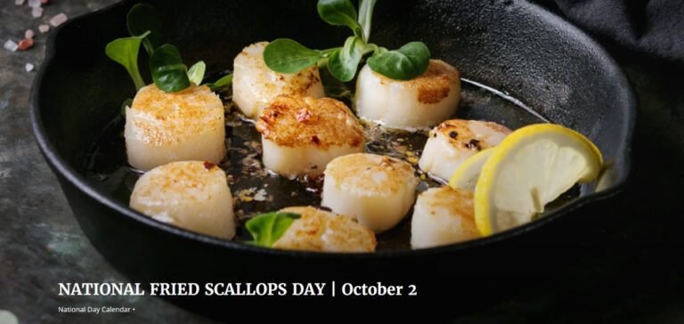 Scallops Have Brilliant Blue Eyes - About 60 Of Them - South Florida ...