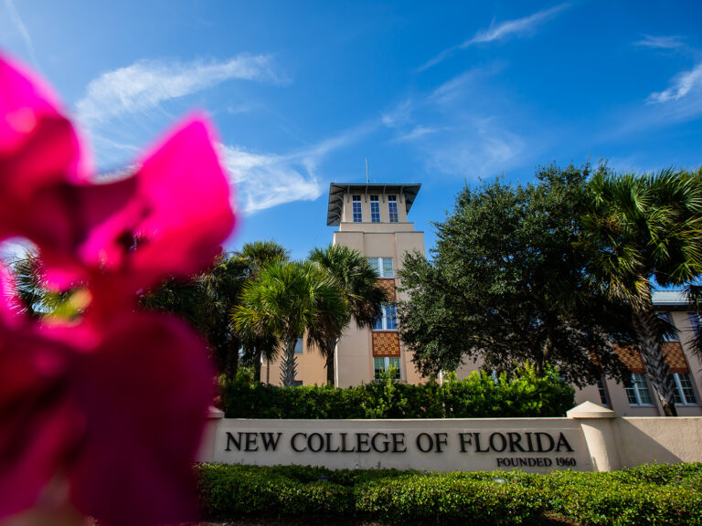 Cost of Change: Florida’s New College Transformation Now Over $490K Per ...